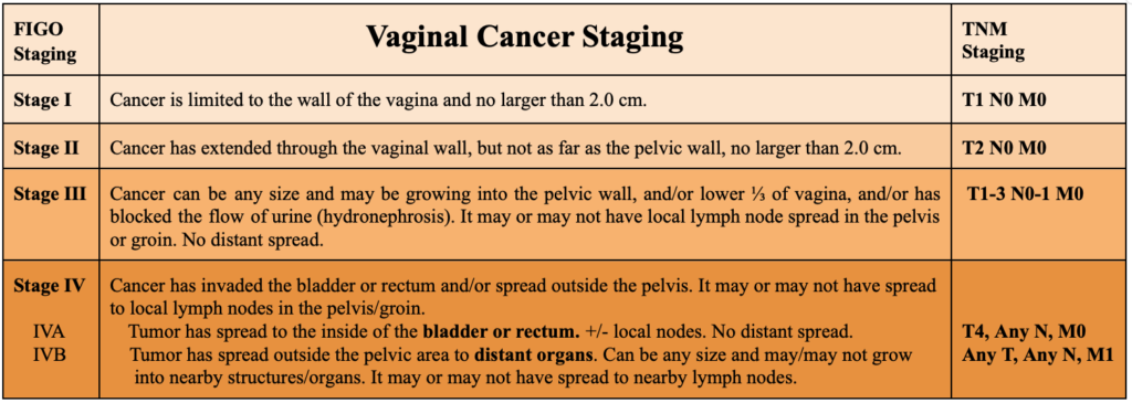 Gynecologic Cancer Staging – OB/GYN Student