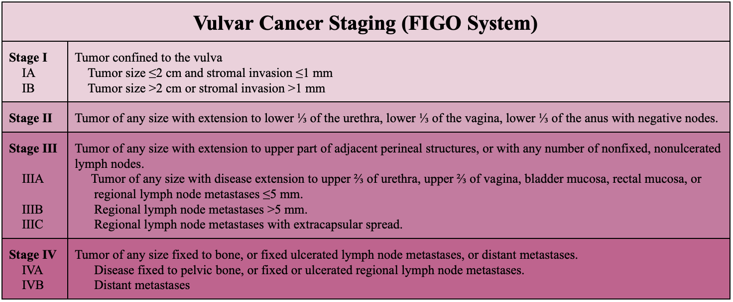 Gynecologic Cancer Staging OB GYN Student